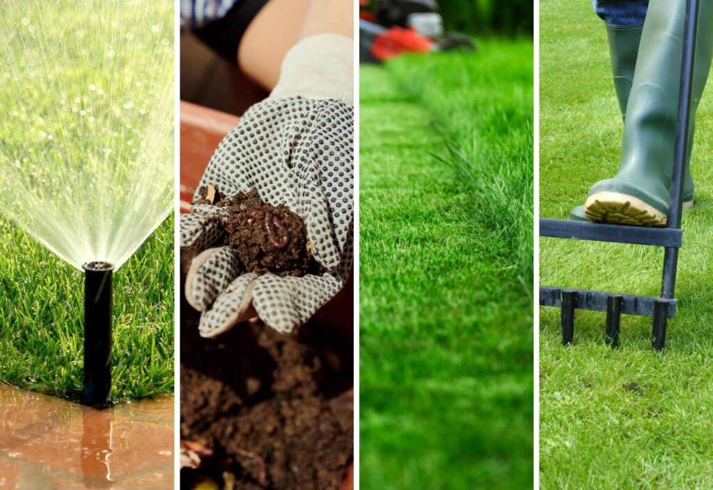Landscaping 101 | The Ultimate Guide For Beginners