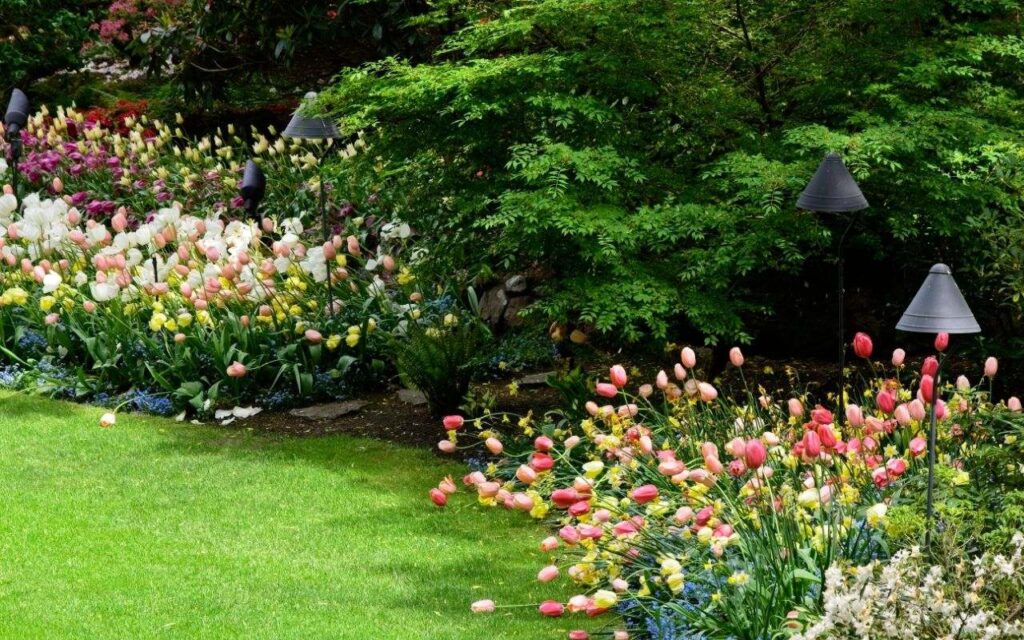 Seasonal Landscaping: Transform Your Yard Year-Round